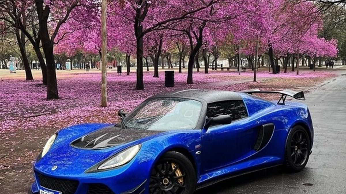 Pilar recibirá una exposición de autos de lujo