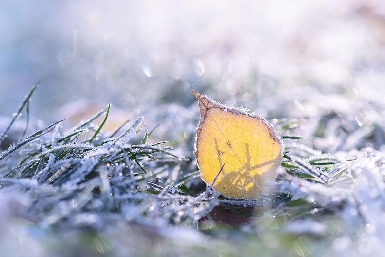 Qué son las heladas, según el diccionario del Servicio Meteorológico ...