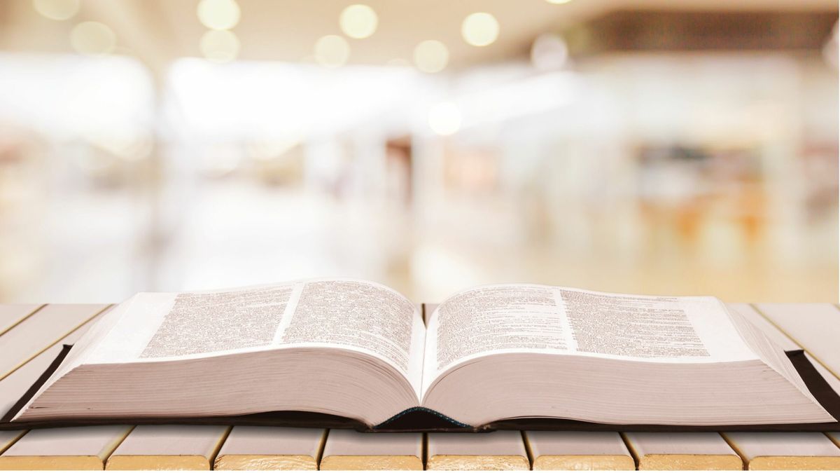 ¿Cuál es el significado de la palabra carajo?