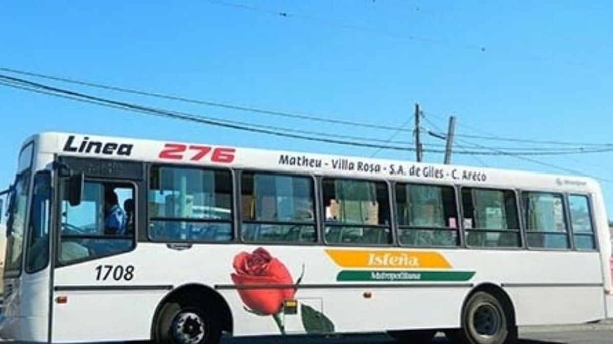 Colectivo se detuvo debajo del puente de la Ruta 25 y generó caos de ...