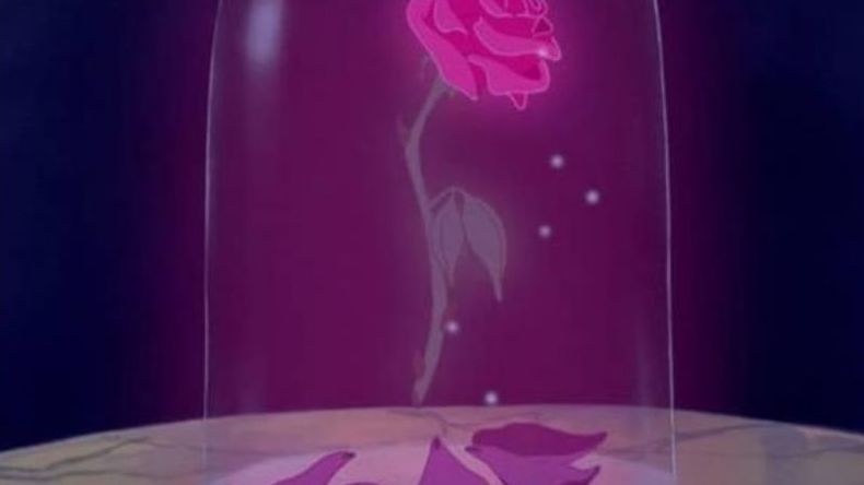 La historia de la rosa encantada de “La Bella y la Bestia”