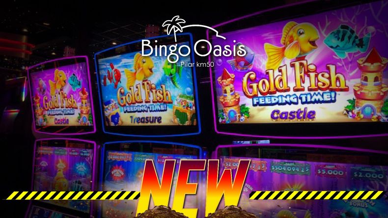 Un apostador ganó más de 10 millones de pesos en el Bingo Oasis