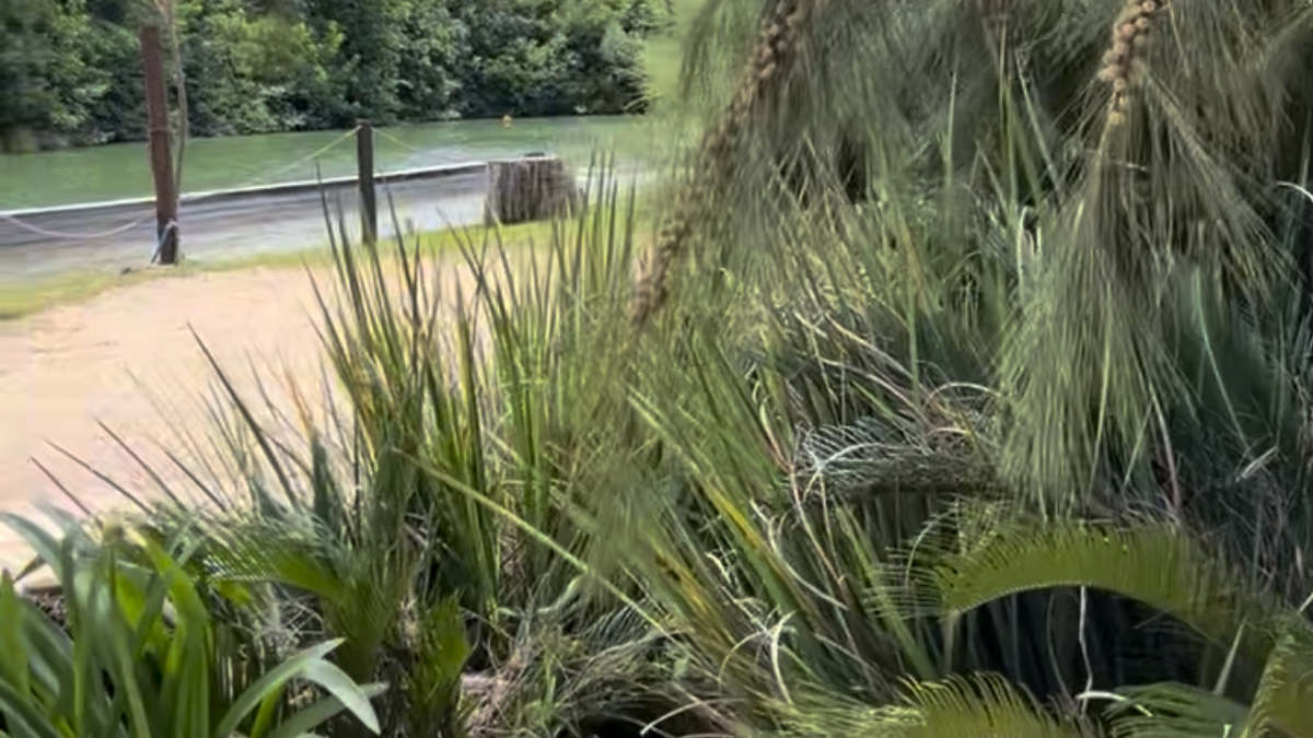 Veranear en Pilar: Sharewood una playa escondida en los suburbios