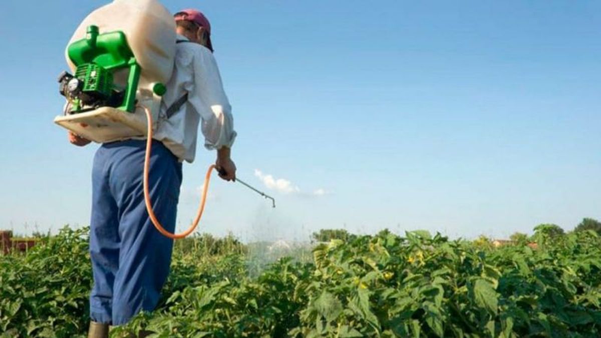 Ordenan frenar fumigaciones con agroquímicos en terrenos linderos a un ...