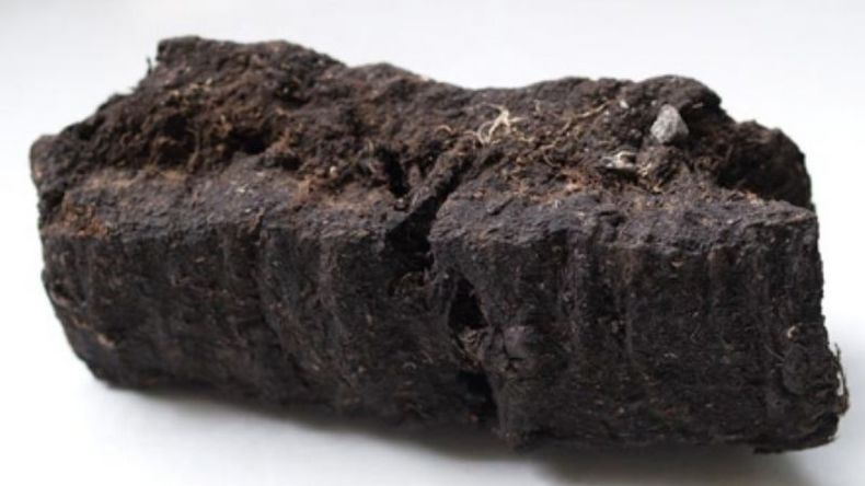 La turba: el abono perfecto para las plantas