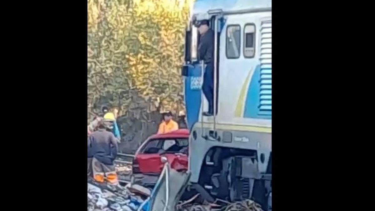 El tren San Martín tiene suspendido su servicio desde y hasta Pilar