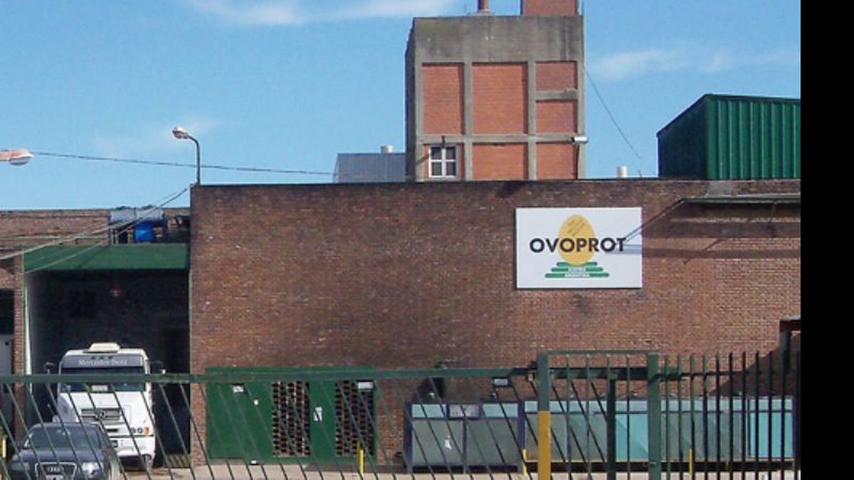 Piden clausurar la planta Ovoprot